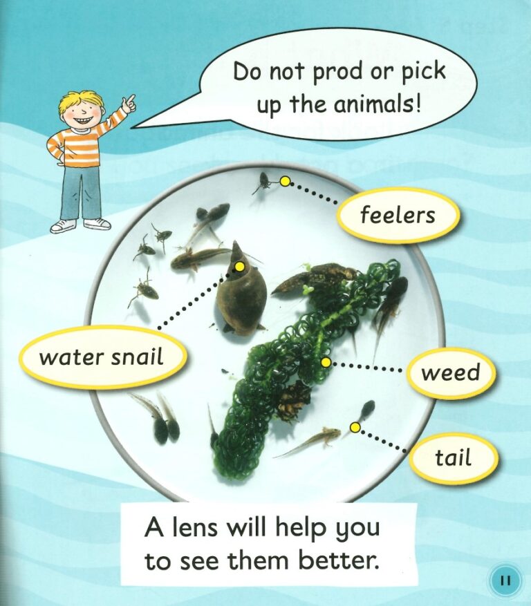 How to Pond Dip (Floppy's Phonics) - Reading Chest